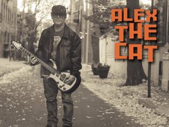 Alex The Cat