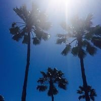 Judy Nowak Brown - ReverbNation