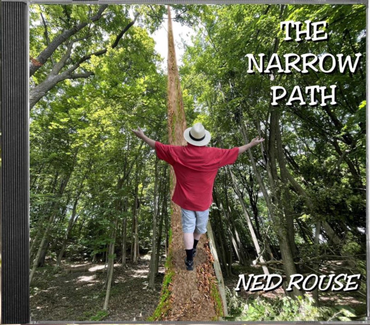 WHAT DO YOU DO? by Ned Rouse